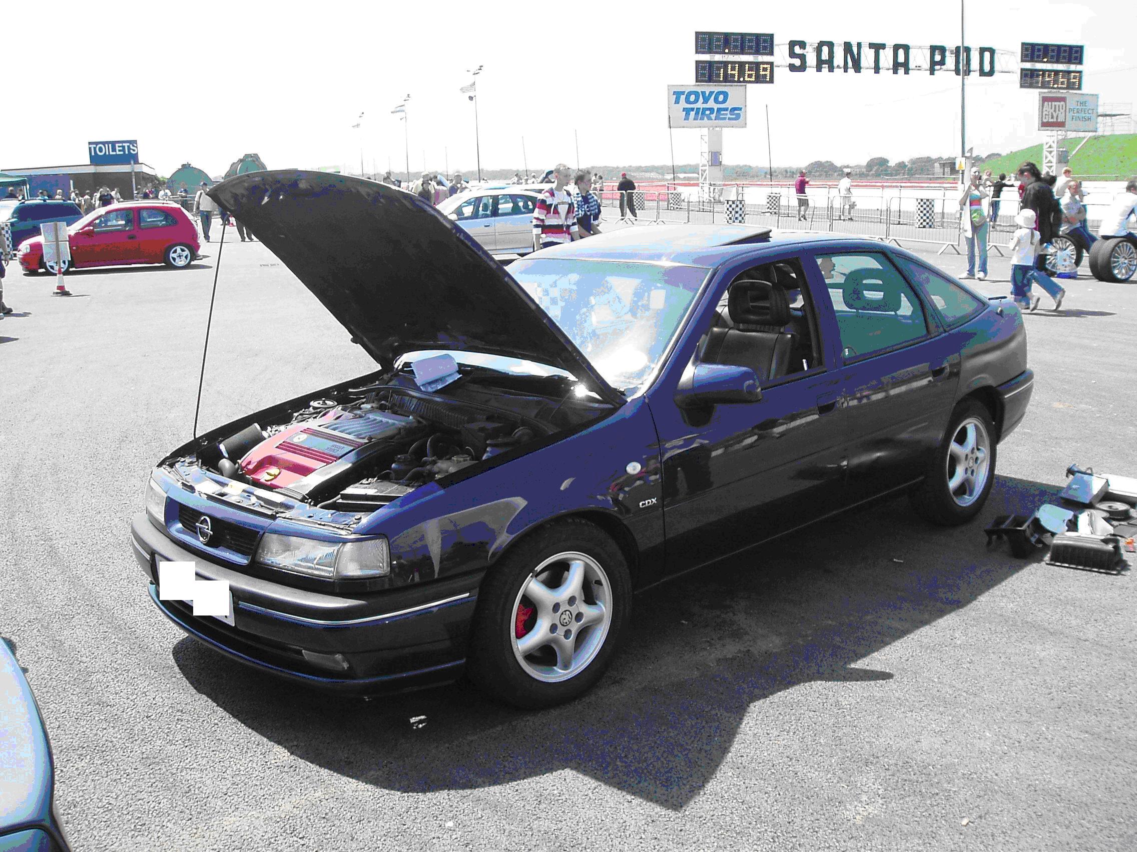 Dave's Cavalier Corner